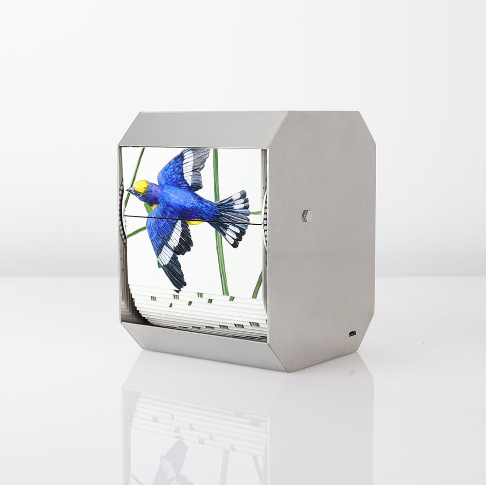 Flipbook Machine Purple-Throated Euphonia